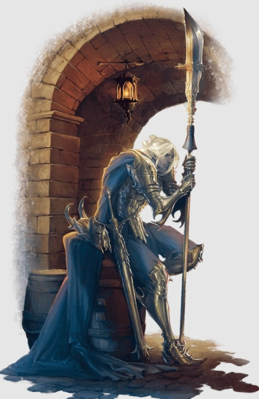 [Top 5] D&D Best Fighter Echo Knight Builds | Gamers Decide